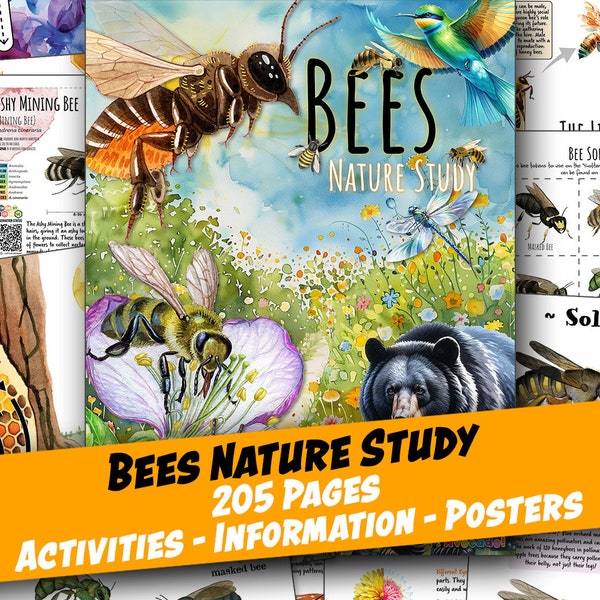 Honey Bee Unit - Etsy