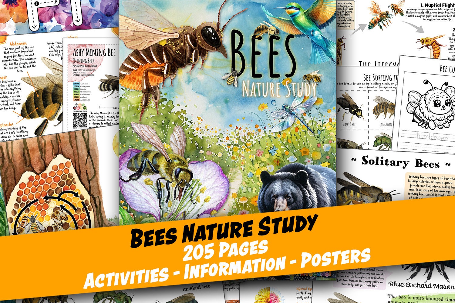 BEES NATURE STUDY Unit, Huge Printables Collection, Life Cycle, Anatomy ...