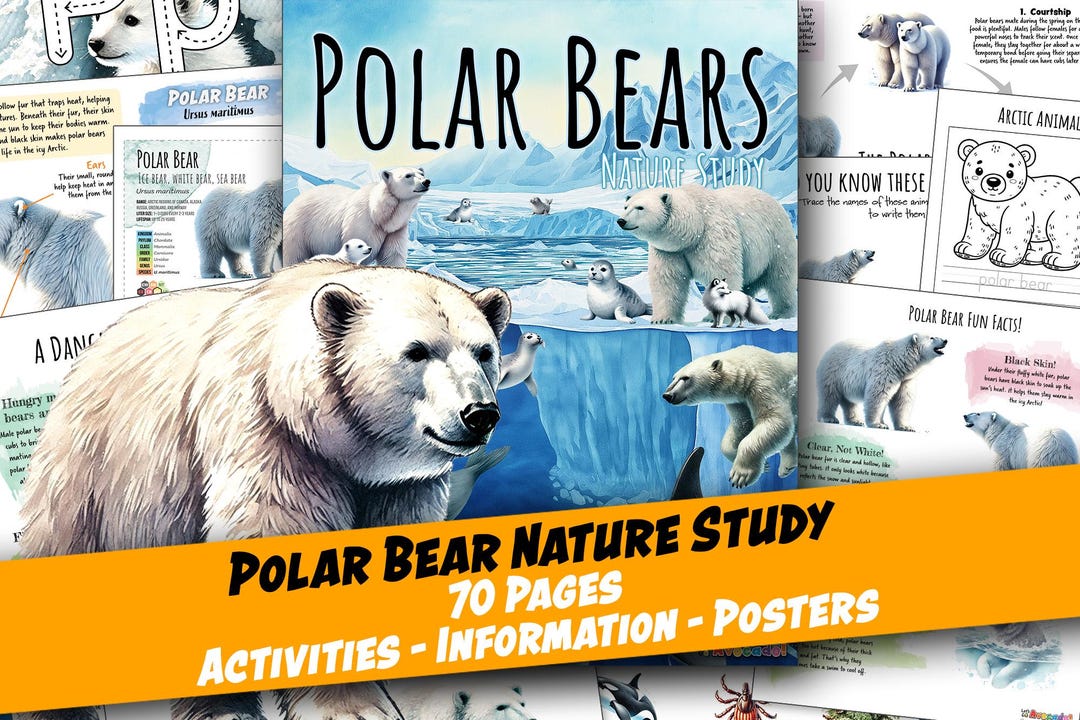 POLAR BEAR NATURE Study, Unit Study, Homeschool Printables, Life Cycle ...