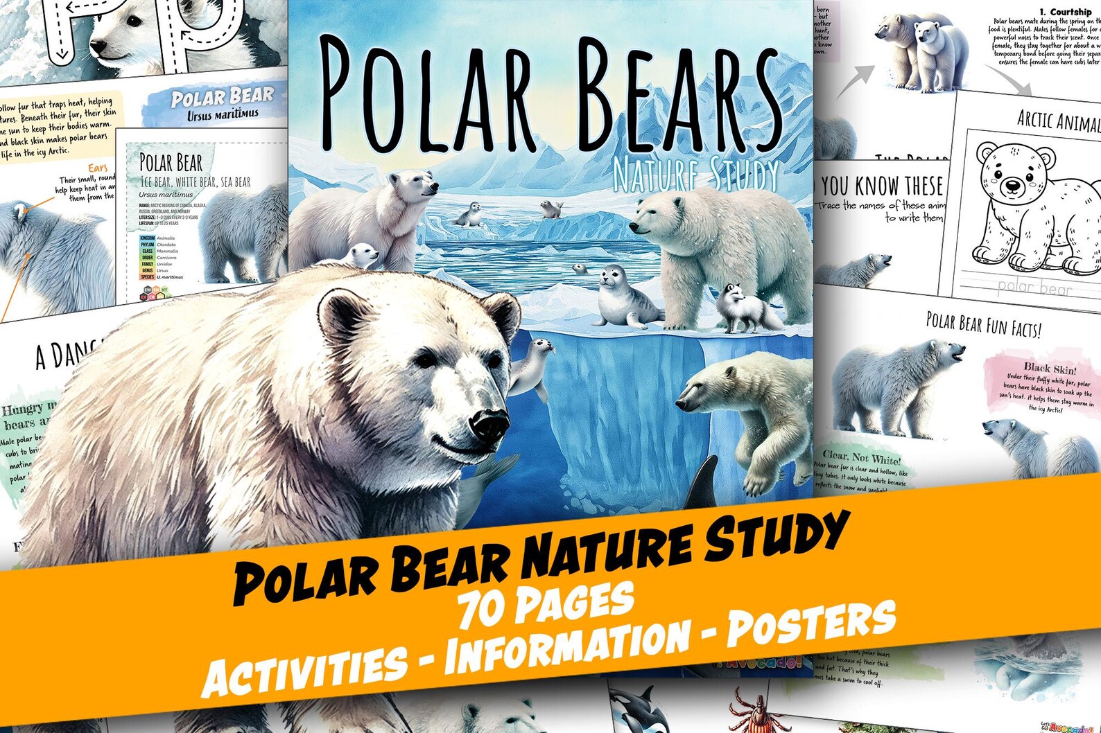 POLAR BEAR NATURE Study, Unit Study, Homeschool Printables, Life Cycle ...