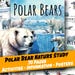 POLAR BEAR NATURE Study, Unit Study, Homeschool Printables, Life Cycle ...