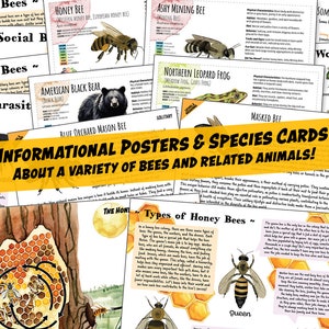 BEES NATURE STUDY Unit, Huge Printables Collection, Life Cycle, Anatomy ...