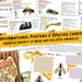 BEES NATURE STUDY Unit, Huge Printables Collection, Life Cycle, Anatomy ...