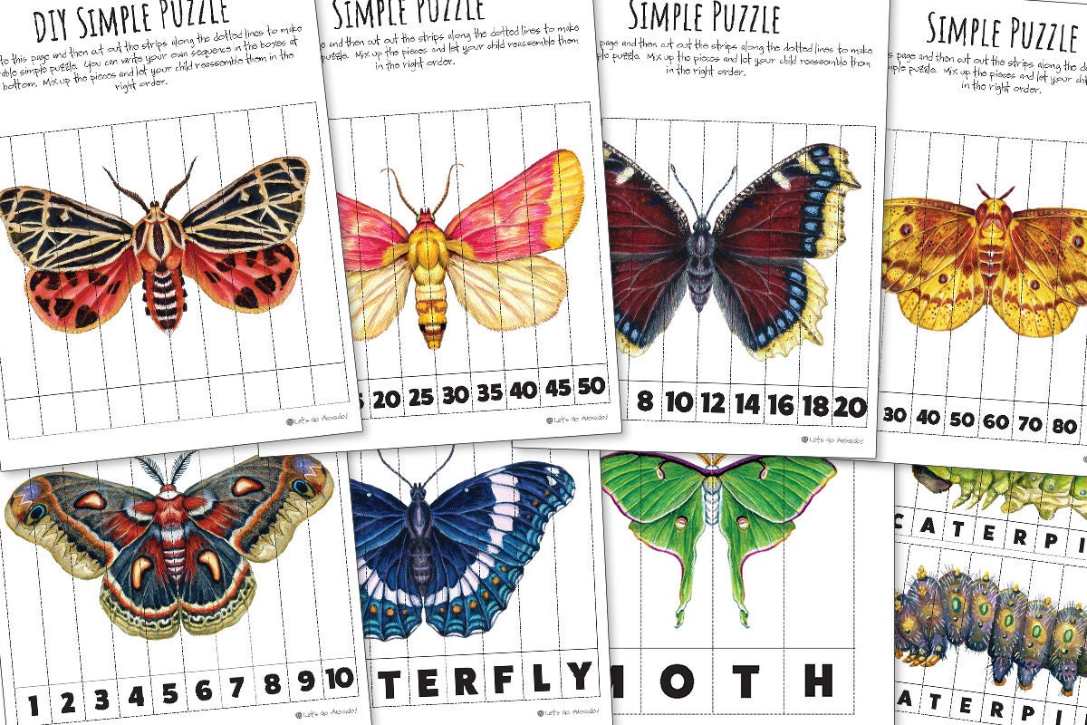 BUTTERFLY & MOTH Nature Study 88 Pages, Life Cycle, Anatomy, Unit Study ...