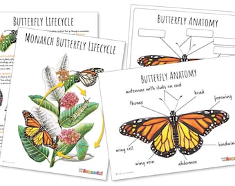 Monarch Butterfly Life Cycle Unit Study Nature Homeschool Curriculum ...