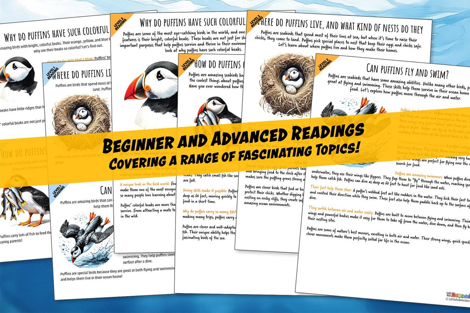 PUFFINS NATURE STUDY Unit, Homeschool Printables, Unit Study, Life ...