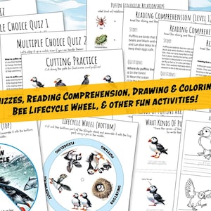 PUFFINS NATURE STUDY Unit, Homeschool Printables, Unit Study, Life ...