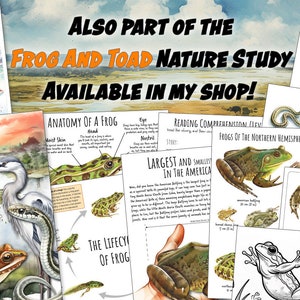 TOAD ANATOMY Worksheet 3 Pages, Poster and Labeling Activity, Winter ...