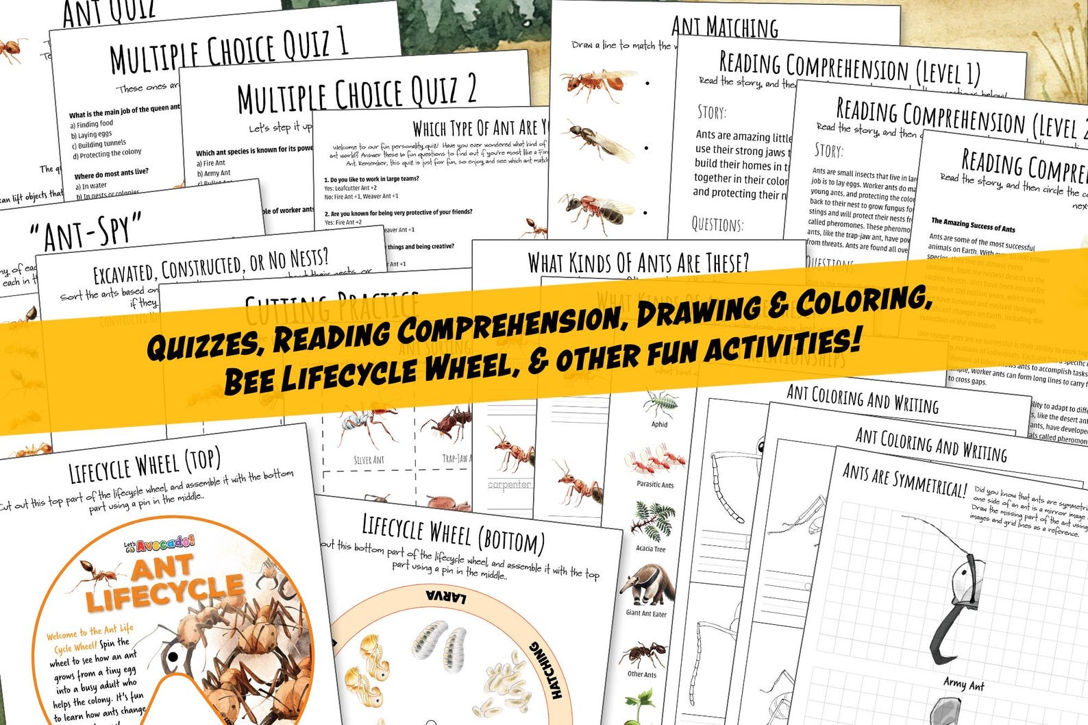 ANTS NATURE Study Unit, UPDATED, Huge Printables Collection, Lifecycle ...