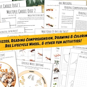 ANTS NATURE Study Unit, UPDATED, Huge Printables Collection, Lifecycle ...
