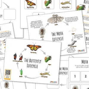 BUTTERFLY & MOTH Nature Study 88 Pages, Life Cycle, Anatomy, Unit Study ...
