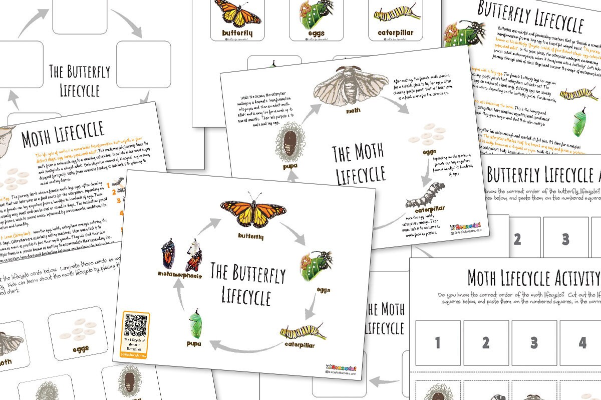 BUTTERFLY & MOTH Nature Study 88 Pages, Life Cycle, Anatomy, Unit Study ...