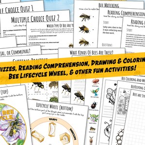 BEES NATURE STUDY Unit, Huge Printables Collection, Life Cycle, Anatomy ...