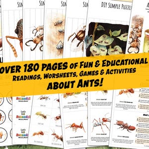 ANTS NATURE Study Unit, UPDATED, Huge Printables Collection, Lifecycle ...