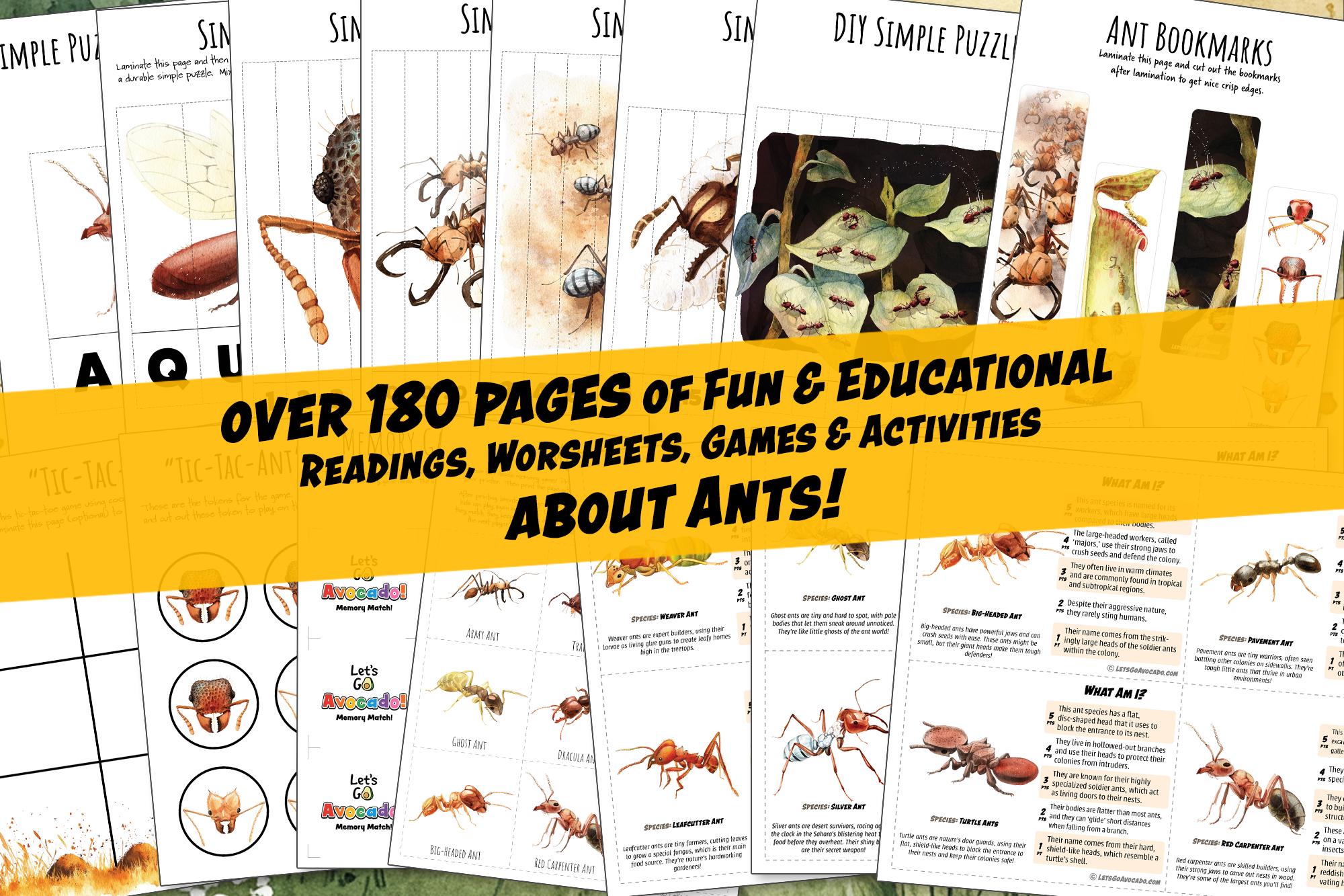 ANTS NATURE Study Unit, UPDATED, Huge Printables Collection, Lifecycle ...
