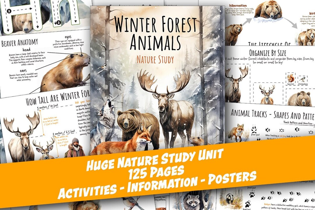 WINTER FOREST Animals Nature Unit, Winter Unit Study, Life Cycle ...
