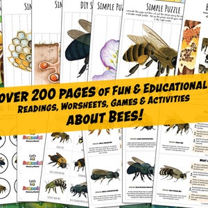 BEES NATURE STUDY Unit, Huge Printables Collection, Life Cycle, Anatomy ...