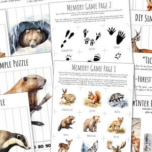 WINTER FOREST Animals Nature Unit, Winter Unit Study, Life Cycles ...