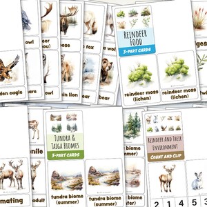 REINDEER Caribou Nature Unit Study, Printables, Lifecycle, Migration ...