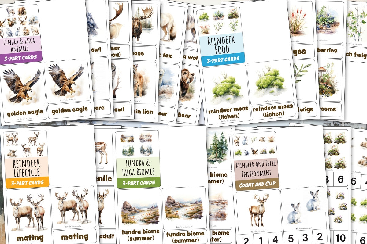 REINDEER Caribou Nature Unit Study, Printables, Lifecycle, Migration ...
