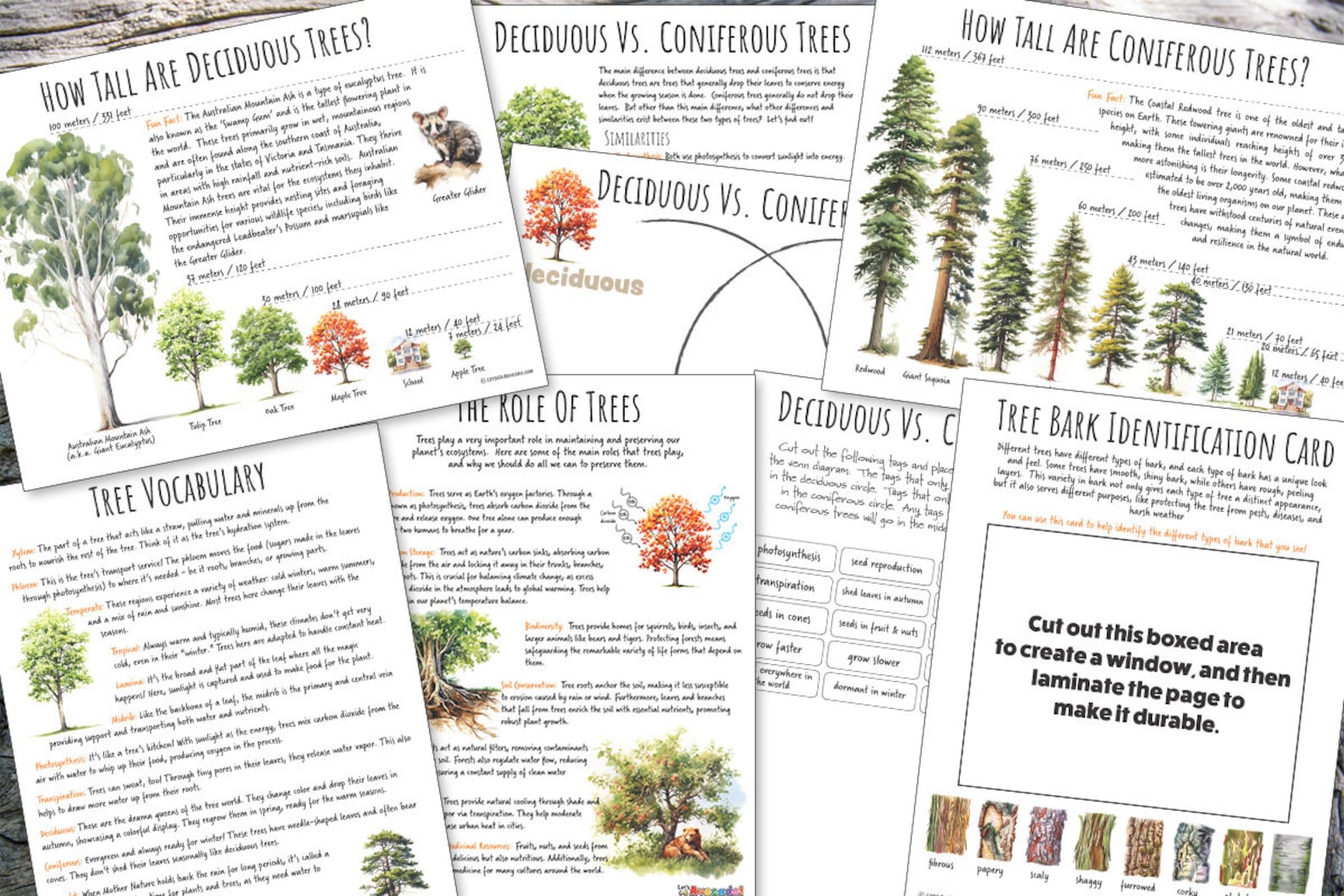 TREE Nature Unit, HUGE Printables Collection, Leaf Shape, Life Cycle ...