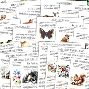 SPRING FOREST Animals Nature Unit, HUGE Printables Collection, Life ...