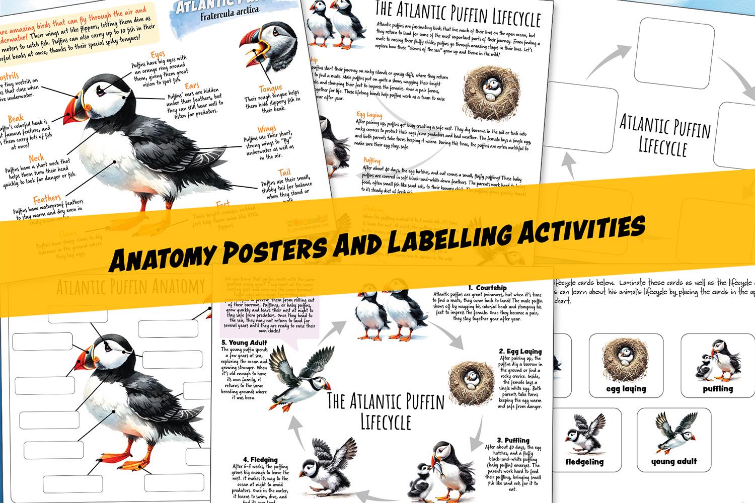 PUFFINS NATURE STUDY Unit, Homeschool Printables, Unit Study, Life ...
