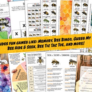 BEES NATURE STUDY Unit, Huge Printables Collection, Life Cycle, Anatomy ...