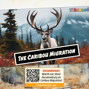 REINDEER Caribou Nature Unit Study, Printables, Lifecycle, Migration ...