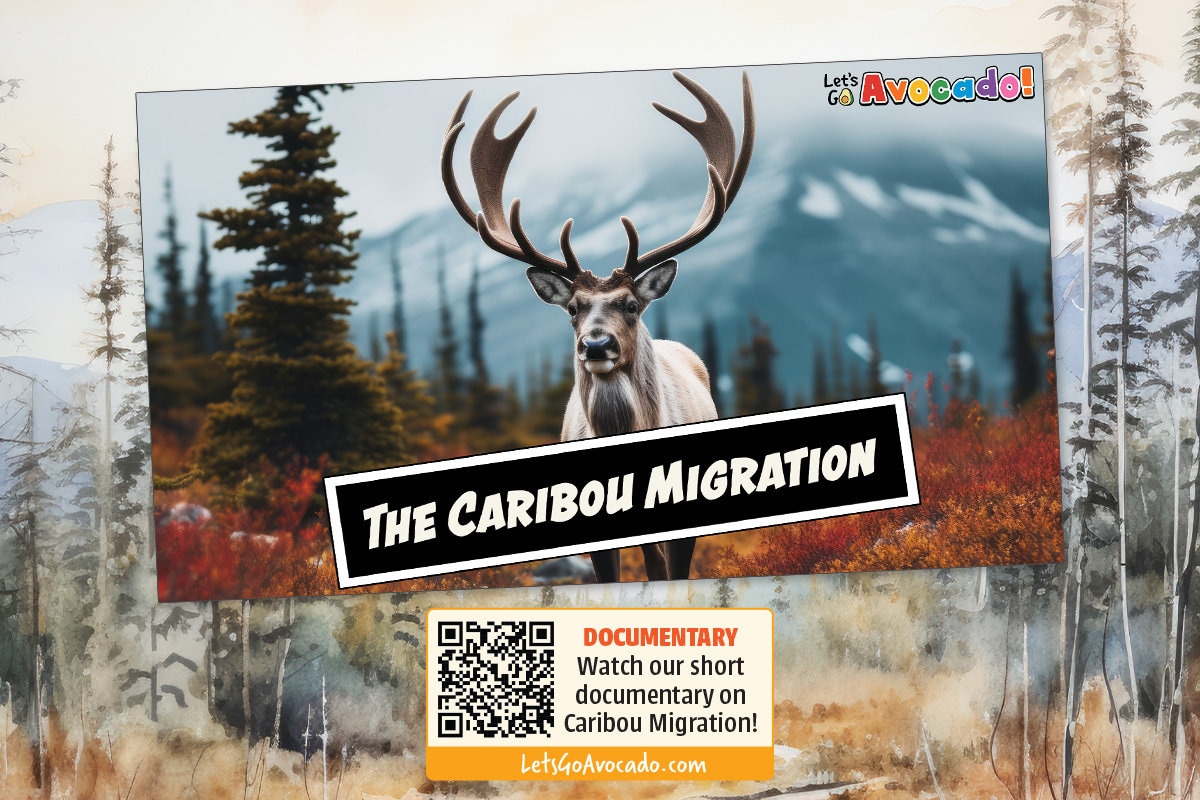 REINDEER Caribou Nature Unit Study, Printables, Lifecycle, Migration ...