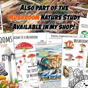 MUSHROOMS ANATOMY Worksheet 3 Pages, Poster and Labeling Activity ...