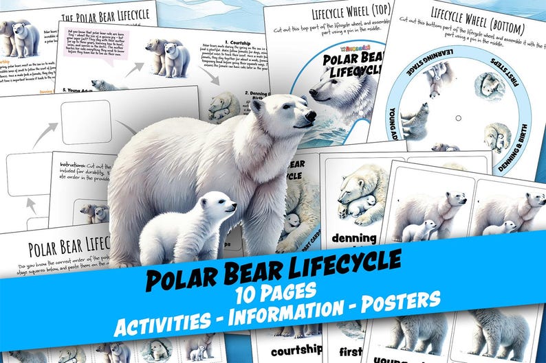 POLAR BEAR LIFECYCLE, Unit Study, Homeschool Printables, Life Cycle ...