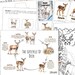 DEER LIFECYCLE Worksheet 11 Pages, Poster and Labeling Activity, 3-part ...