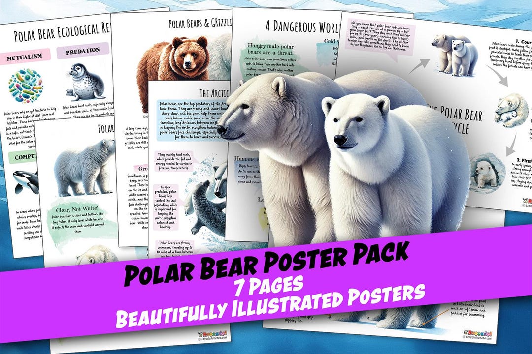 POLAR BEAR POSTERS, Unit Study, Homeschool Printables, Life Cycle ...