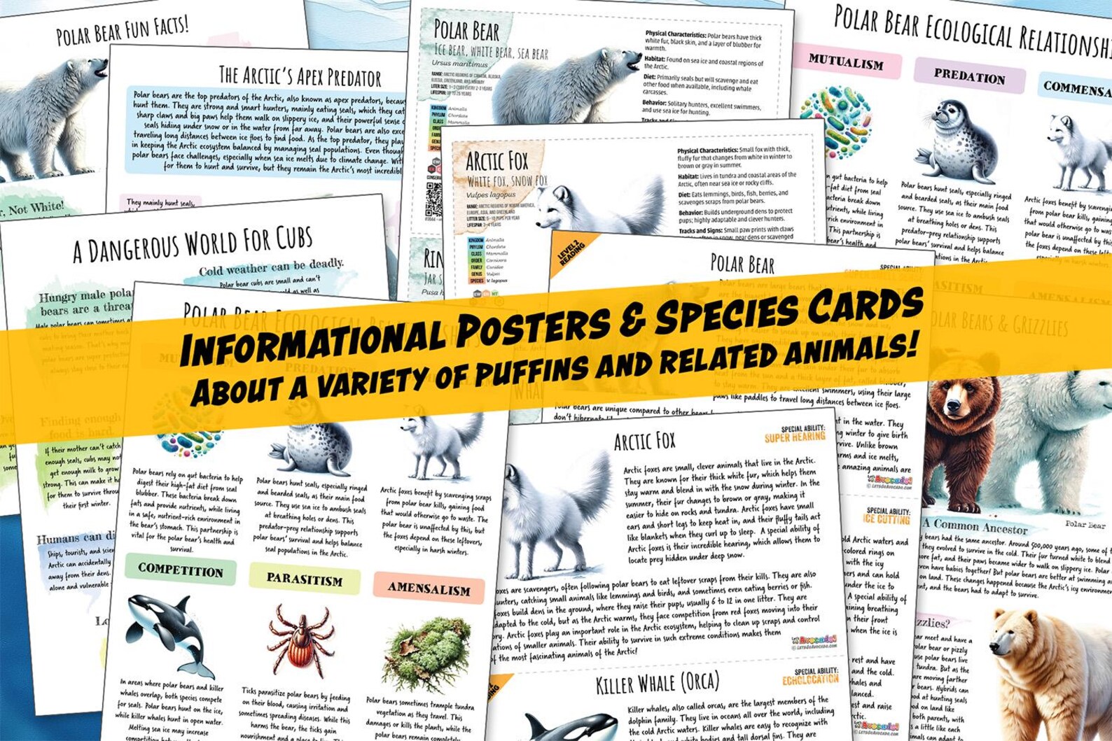 POLAR BEAR NATURE Study, Unit Study, Homeschool Printables, Life Cycle ...