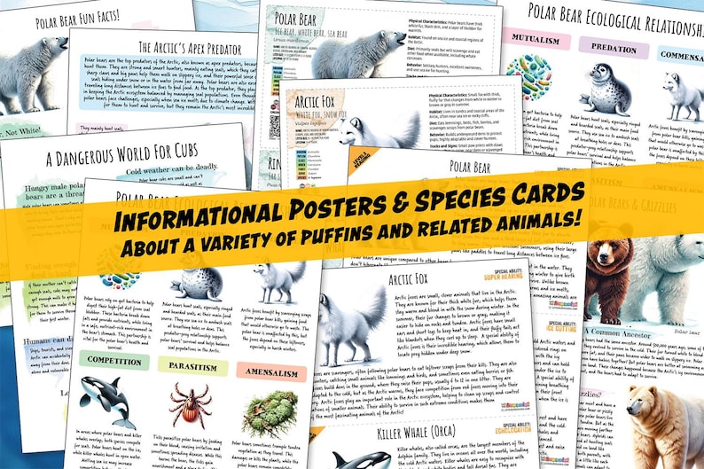 POLAR BEAR NATURE Study, Unit Study, Homeschool Printables, Life Cycle ...