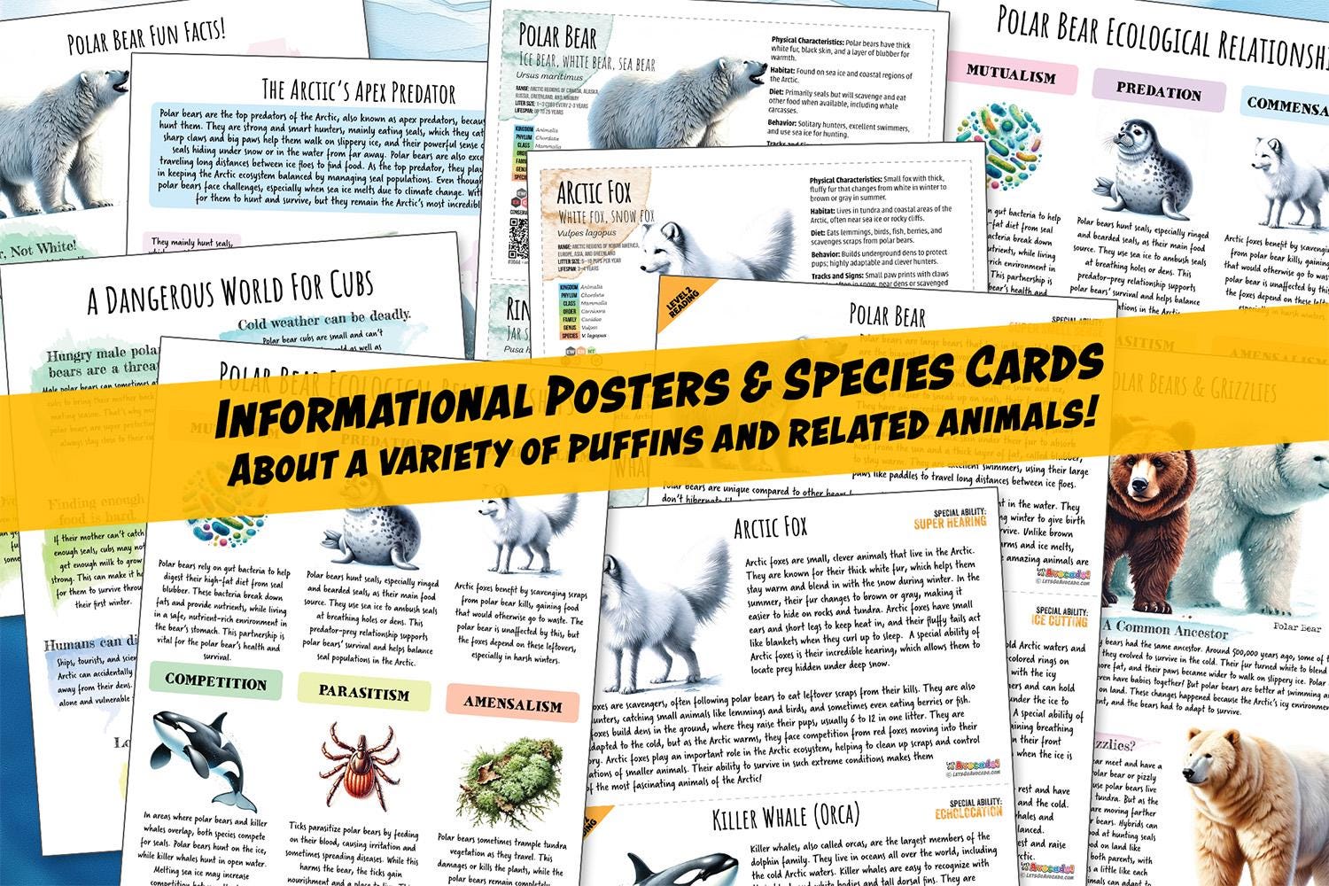 POLAR BEAR NATURE Study, Unit Study, Homeschool Printables, Life Cycle ...