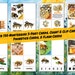 BEES NATURE STUDY Unit, Huge Printables Collection, Life Cycle, Anatomy ...
