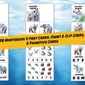 POLAR BEAR NATURE Study, Unit Study, Homeschool Printables, Life Cycle ...