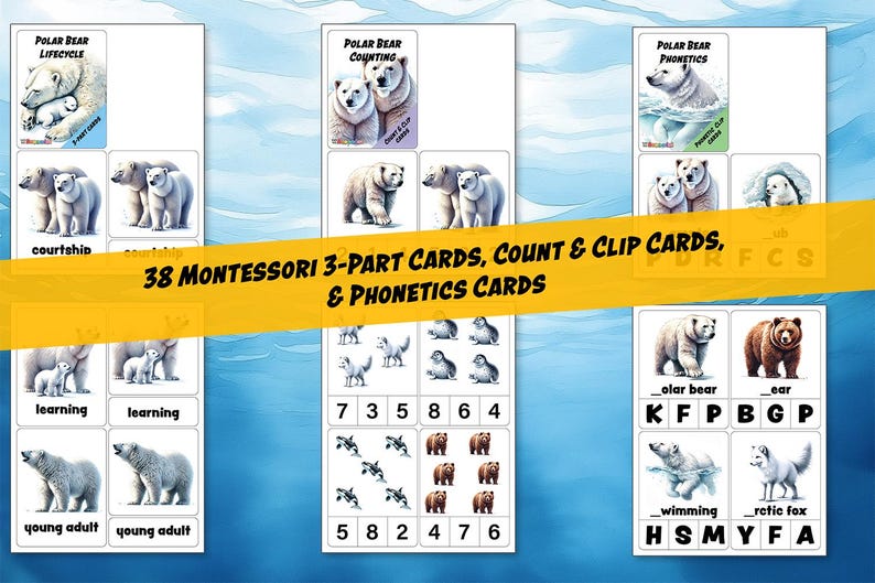 POLAR BEAR NATURE Study, Unit Study, Homeschool Printables, Life Cycle ...