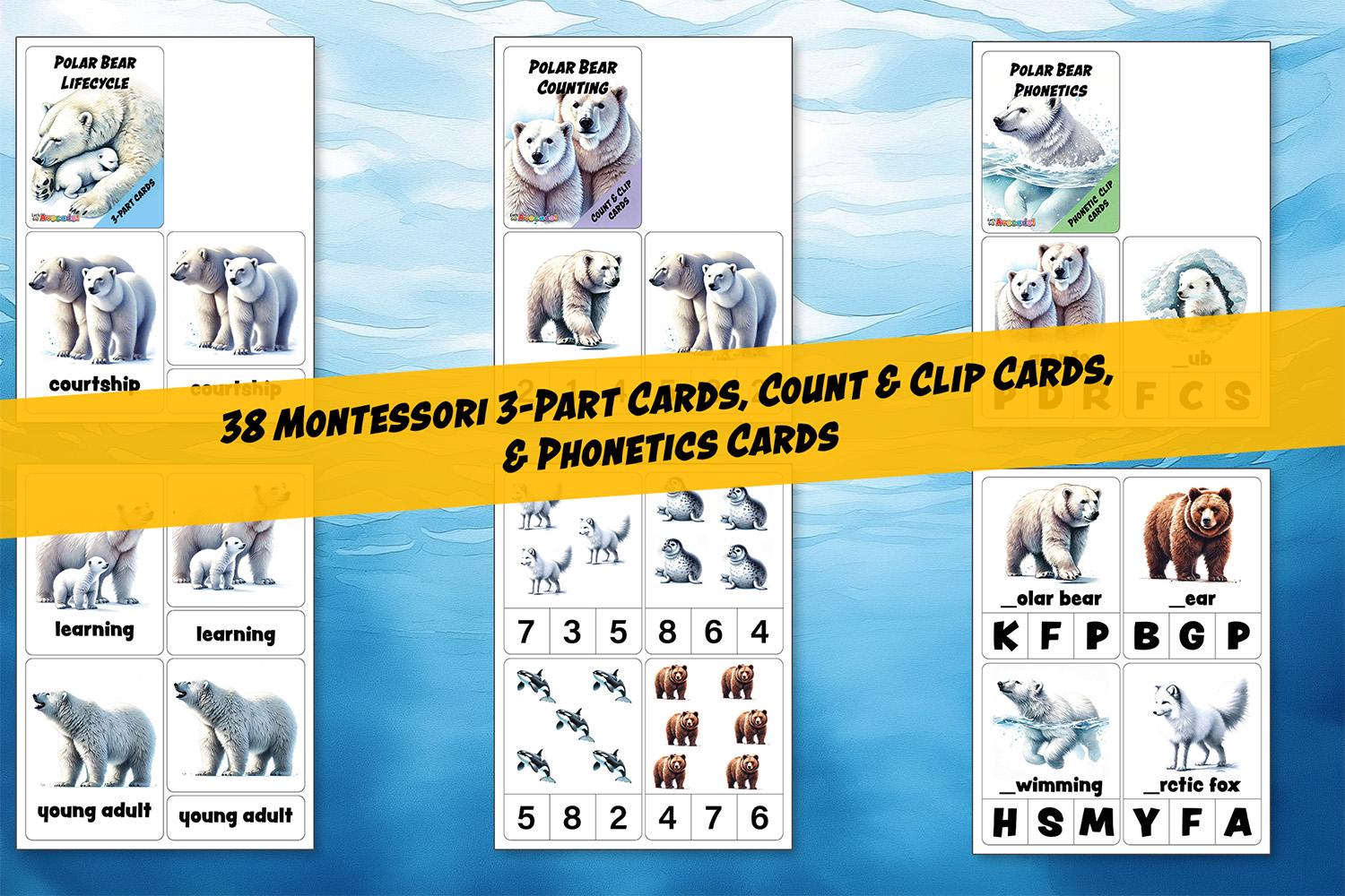 POLAR BEAR NATURE Study, Unit Study, Homeschool Printables, Life Cycle ...