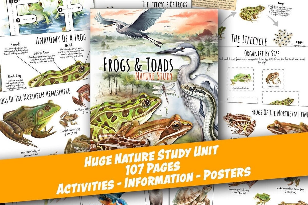 FROG and TOAD Nature Unit, HUGE Printables Collection, Life Cycle ...