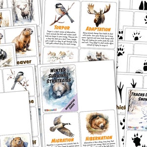 WINTER FOREST Animals Nature Unit, Winter Unit Study, Life Cycles ...