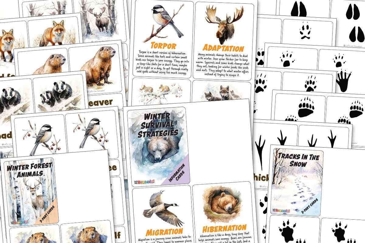 WINTER FOREST Animals Nature Unit, Winter Unit Study, Life Cycles ...