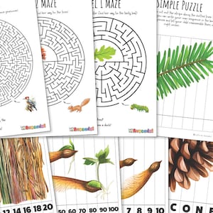 TREE Nature Unit, HUGE Printables Collection, Leaf Shape, Life Cycle ...