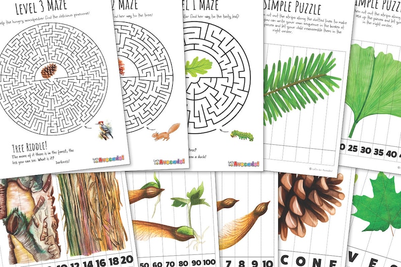 TREE Nature Unit, HUGE Printables Collection, Leaf Shape, Life Cycle ...