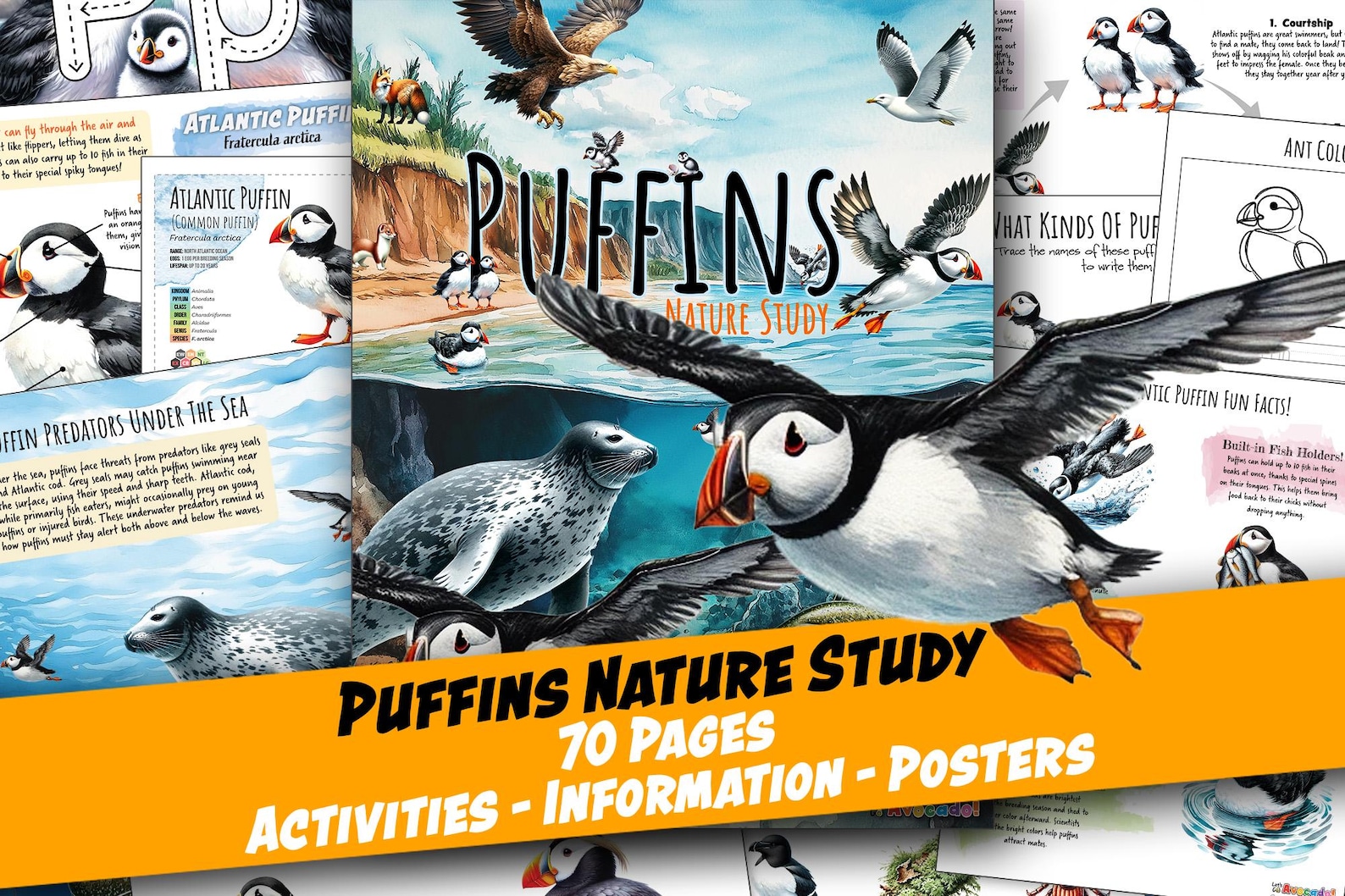 PUFFINS NATURE STUDY Unit, Homeschool Printables, Unit Study, Life ...