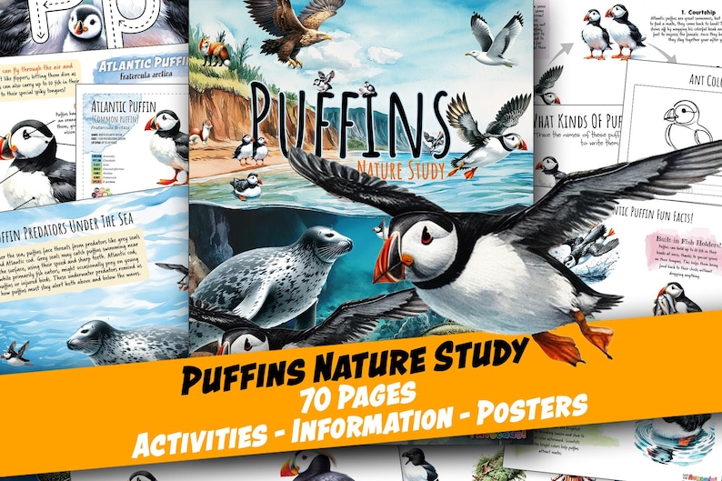 PUFFINS NATURE STUDY Unit, Homeschool Printables, Unit Study, Life ...