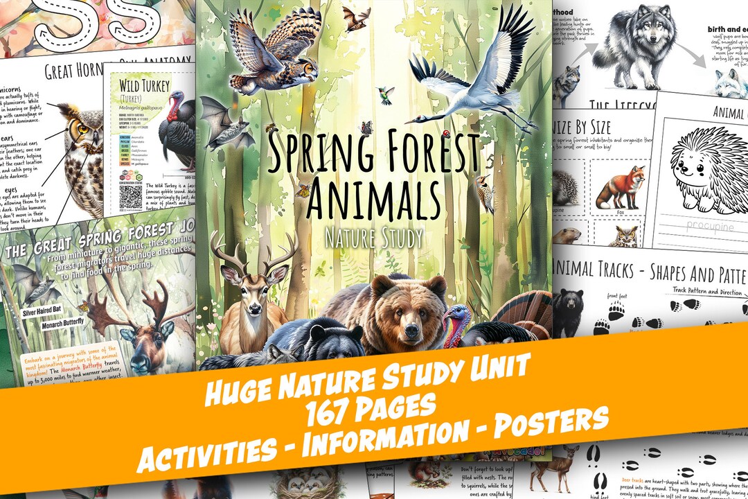 SPRING FOREST Animals Nature Unit, HUGE Printables Collection, Life ...