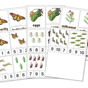 MONARCH BUTTERFLY Nature Study 40 Pages, Life Cycle, Anatomy, Unit ...